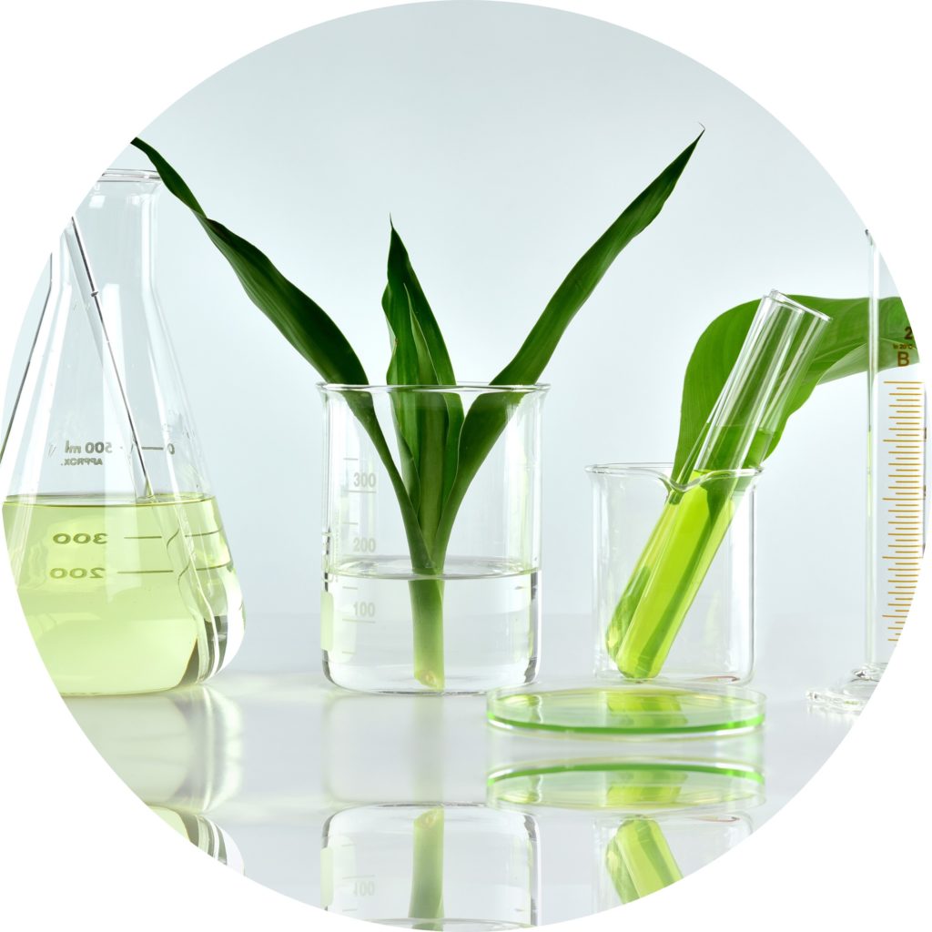 Make-up & Hybrids - Thépenier Pharma & Cosmetics