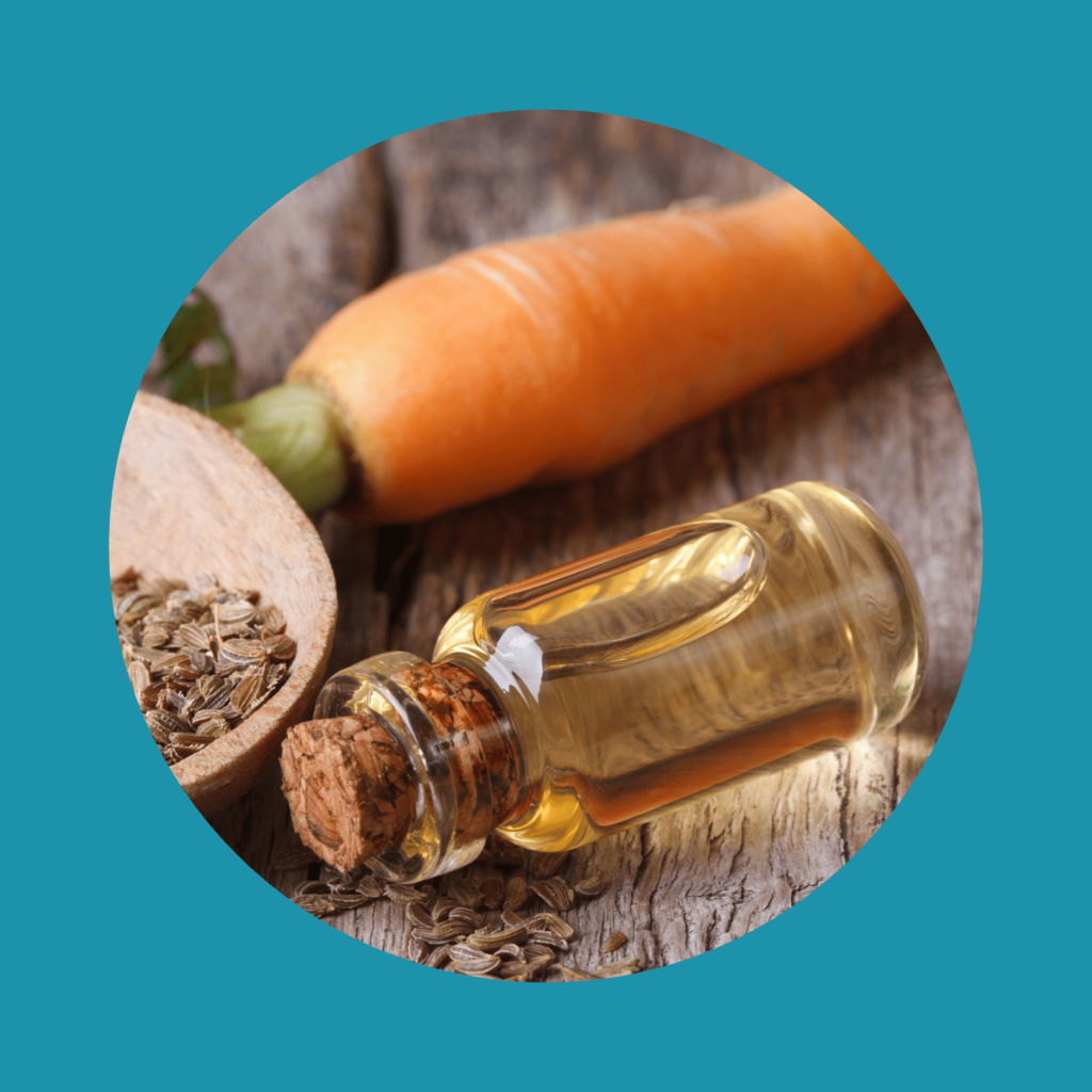After Sun Oil - Thépenier Pharma & Cosmetics
